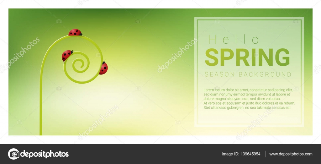 Hello spring background with red ladybugs , vector , illustration Stock ...