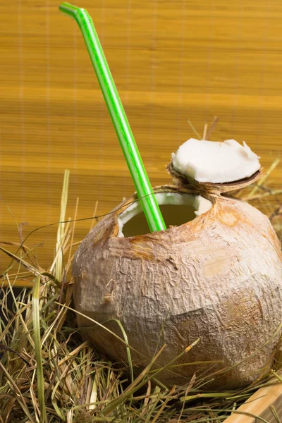 Coconut rolling on the beach Stock Photos, Royalty Free Coconut rolling ...