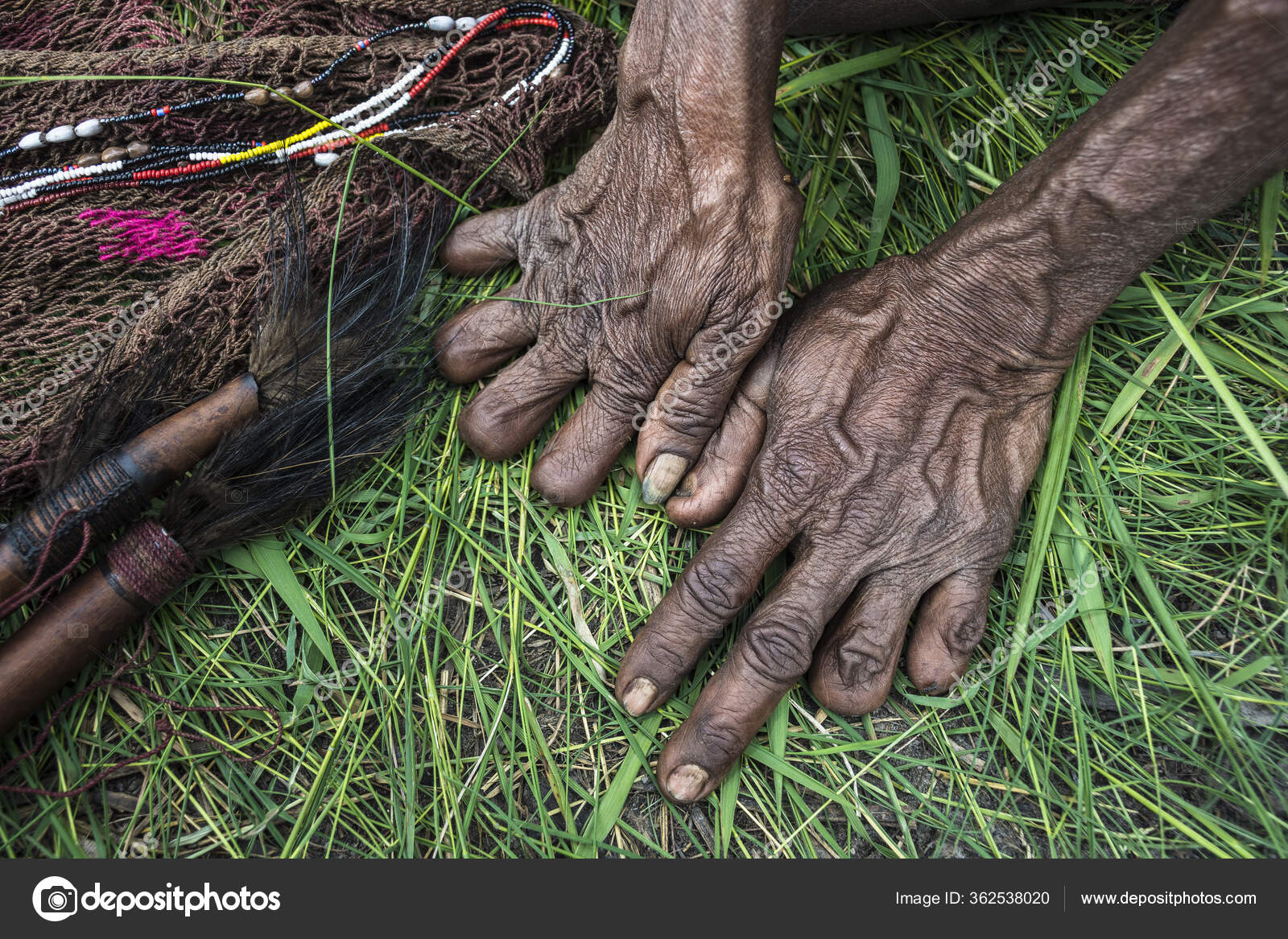 Older Women Dani Tribe Often Cut Fingers Relatives Die Show — Stock ...