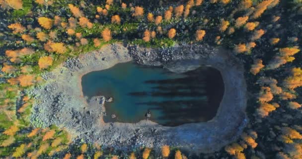 Overhead aerial top view over lake in orange and red larch tree forest ...