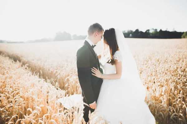 Wedding field Stock Photos, Royalty Free Wedding field Images ...