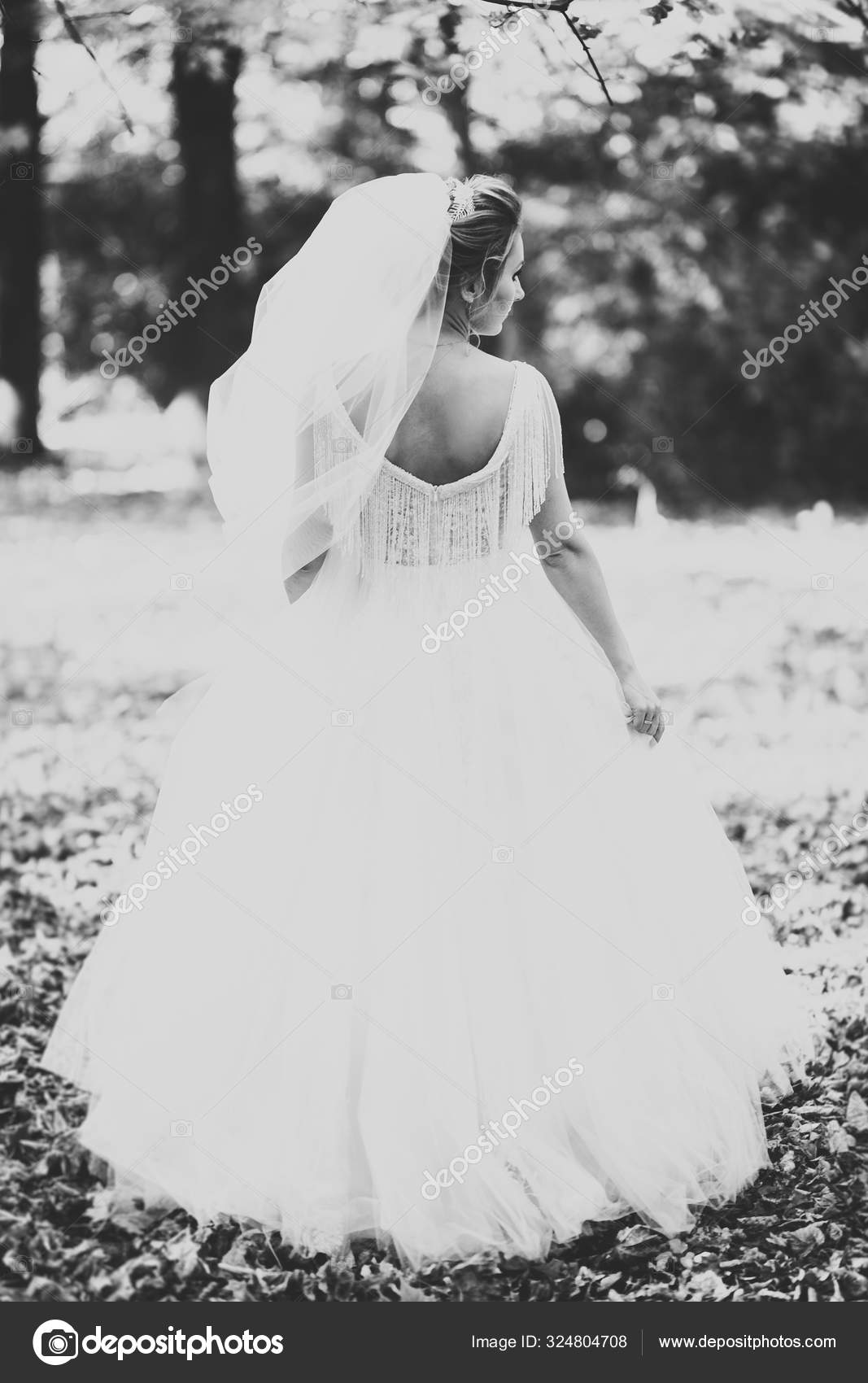 Beautiful bride wearing fashion wedding dress with feathers with luxury ...
