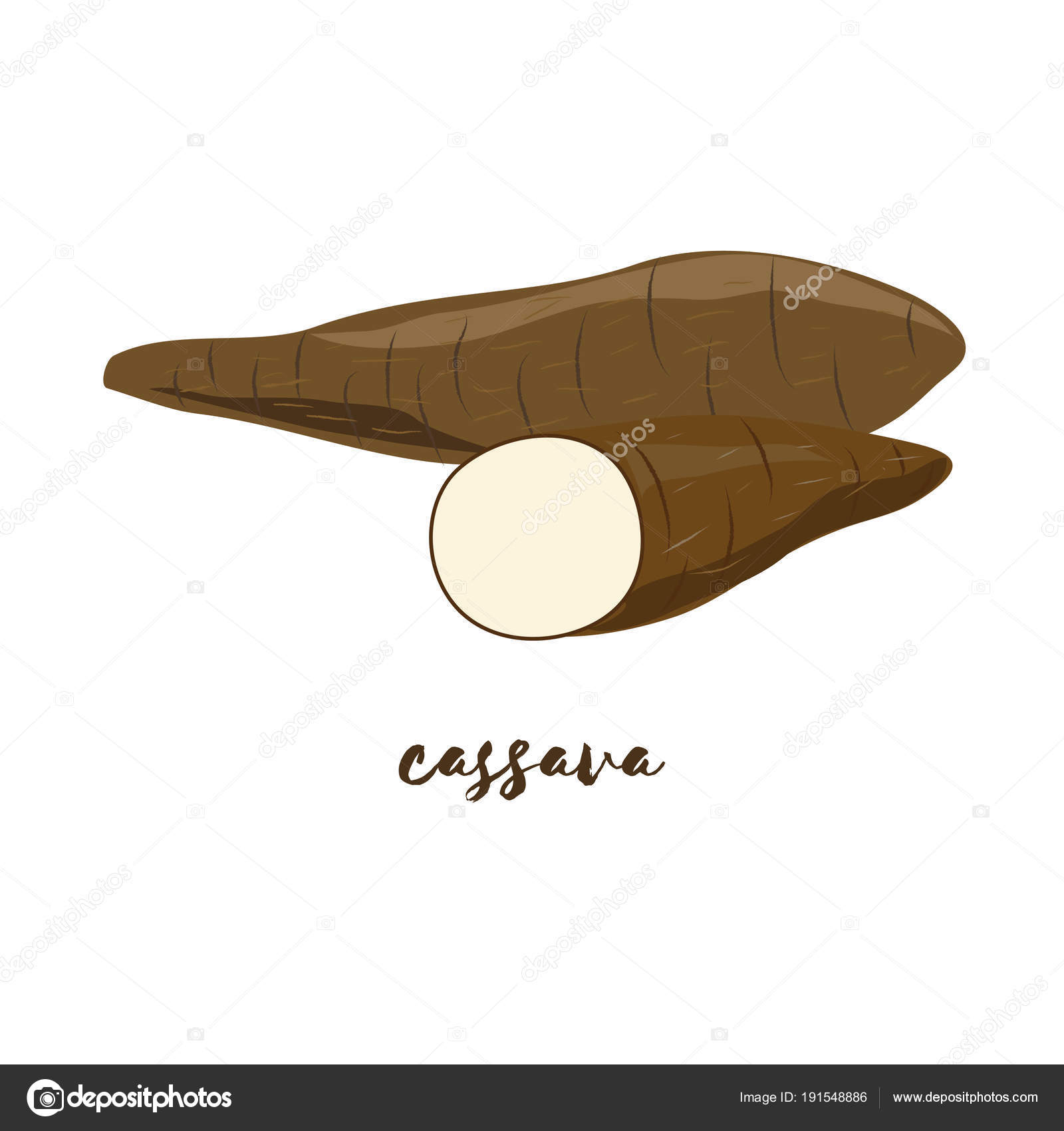 Cassava. Flat design. Vector illustration. Stock Vector by ©satarova.av ...