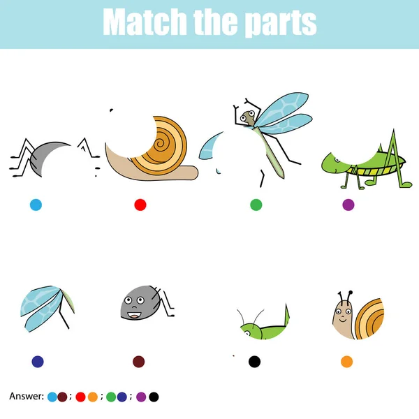 Matching children educational game. Kids activity. Match insects parts ...