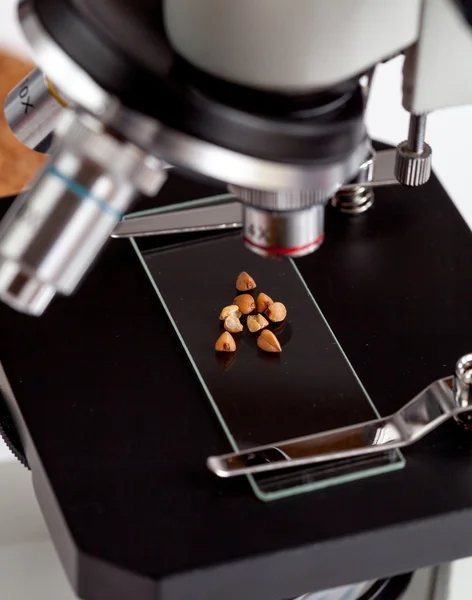 Microscope Slide Images - Search Images on Everypixel