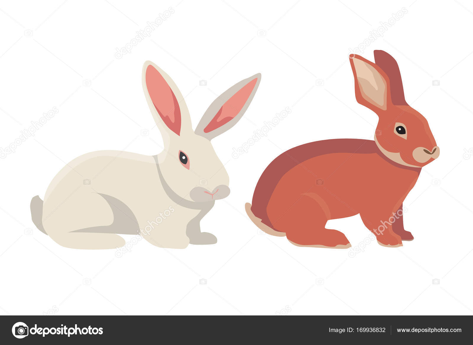 Vector illustration of cartoon rabbits different breeds. Fine bunnys ...