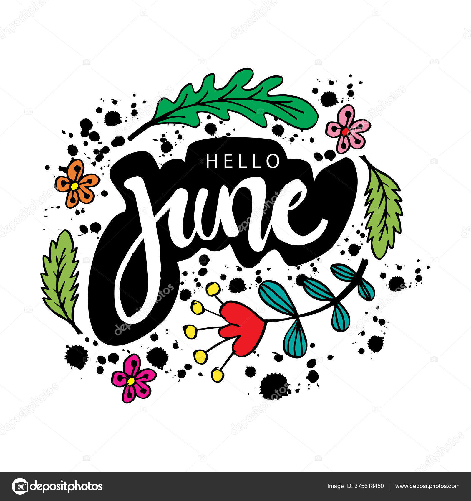 Hello June Hand Lettering Greeting Card — Stock Vector © Handini #375618450