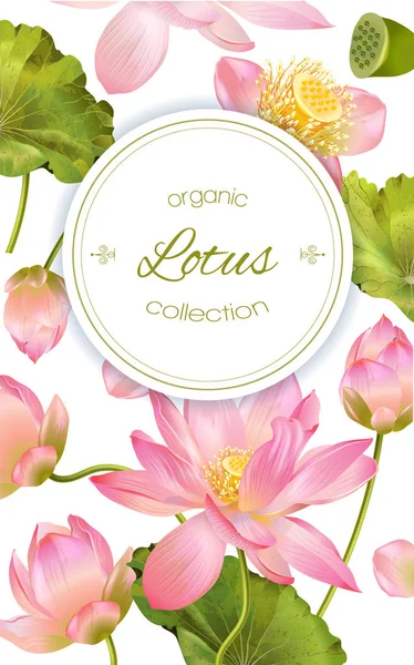 Lotus flower banner Stock Vector Image by ©PurpleBird18 #139748268