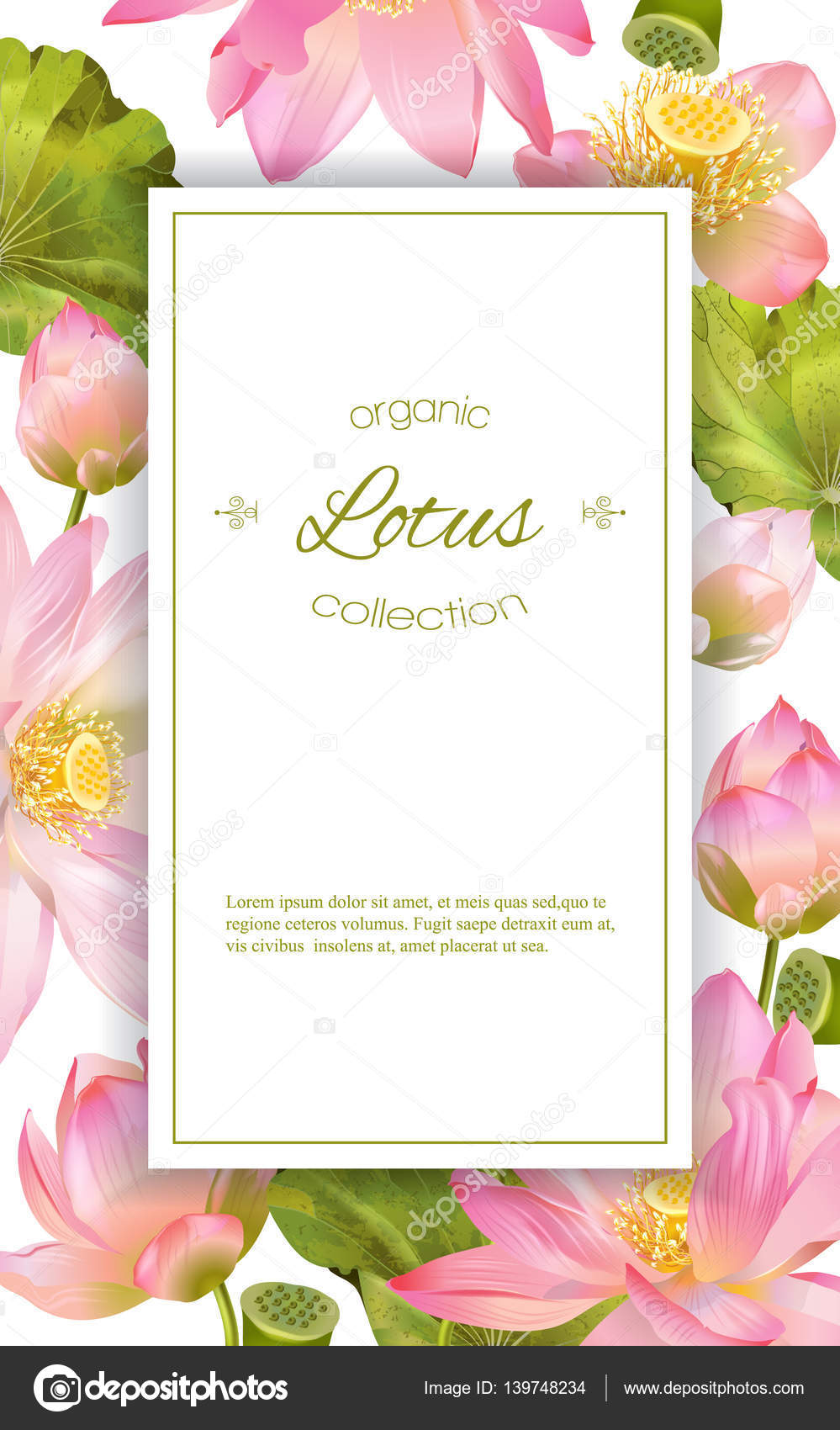 Lotus flower banner Stock Vector Image by ©PurpleBird18 #139748234