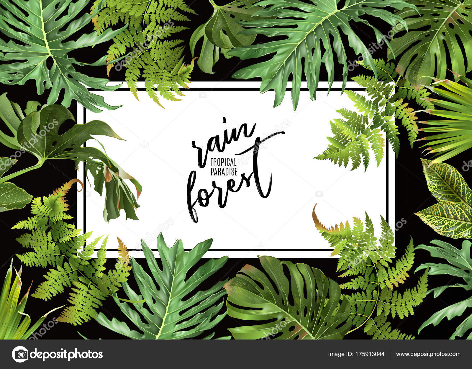 Tropic horizontal banner Stock Vector Image by ©PurpleBird18 #175913044