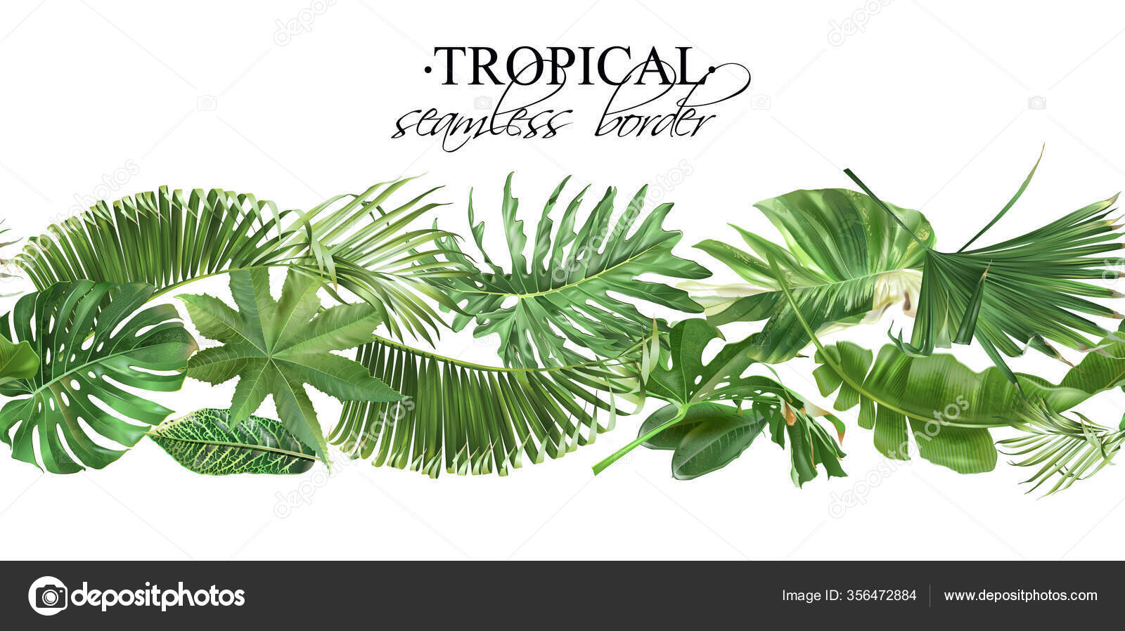 Vector seamless border with green tropical leaves Stock Vector by ...