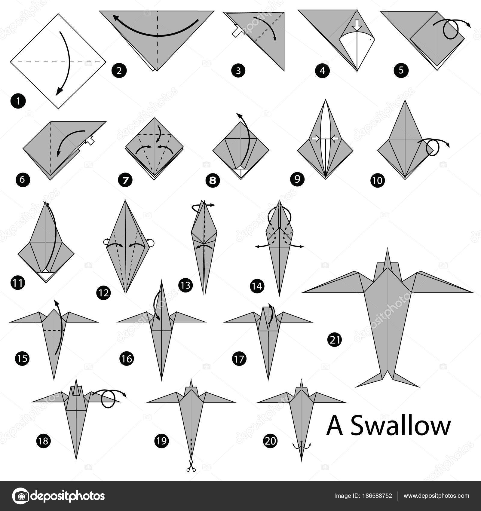 Instrucciones Paso Paso Cómo Hacer Origami Swallow Vector de Stock de ...