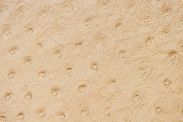 Oboy fotos de stock, imágenes de Oboy sin royalties | Depositphotos