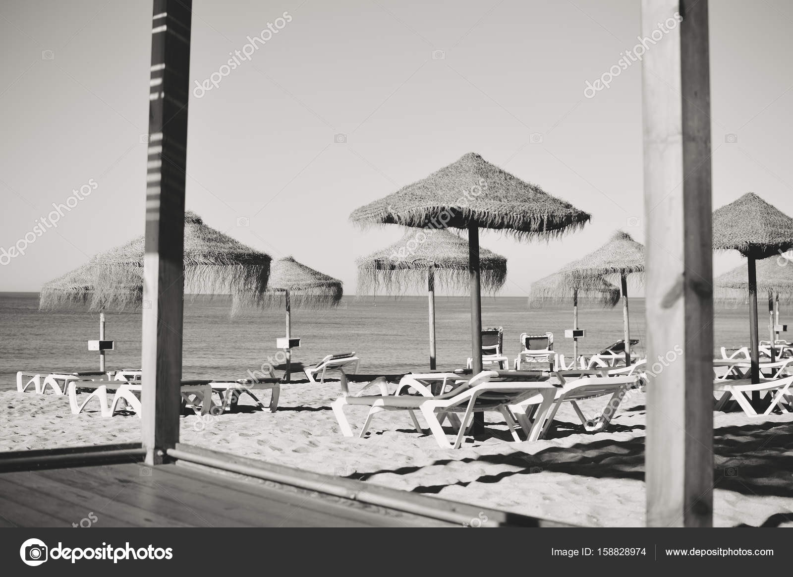 Black and white image of sunny beach umbrella idyllic mood beach ...