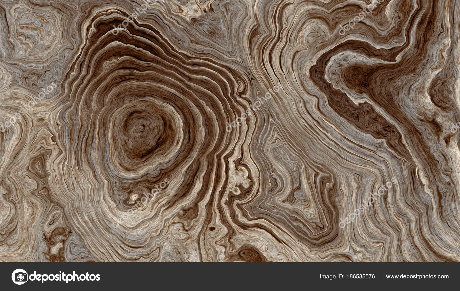 Tree roots background — Stock Photo © aregfly #186535576