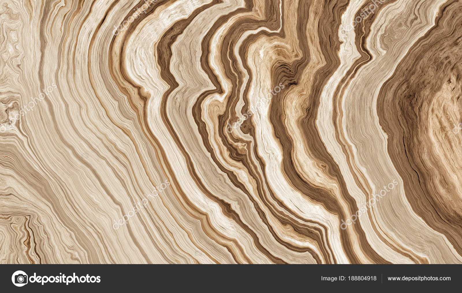 Tree roots background — Stock Photo © aregfly #188804918