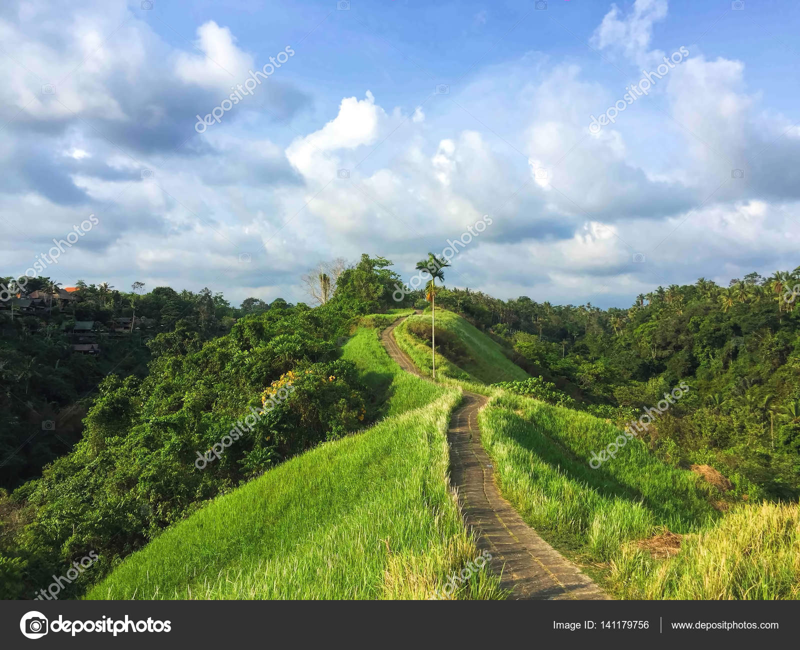 Idyllic walking path on top of green hills. Tropical nature scene ...