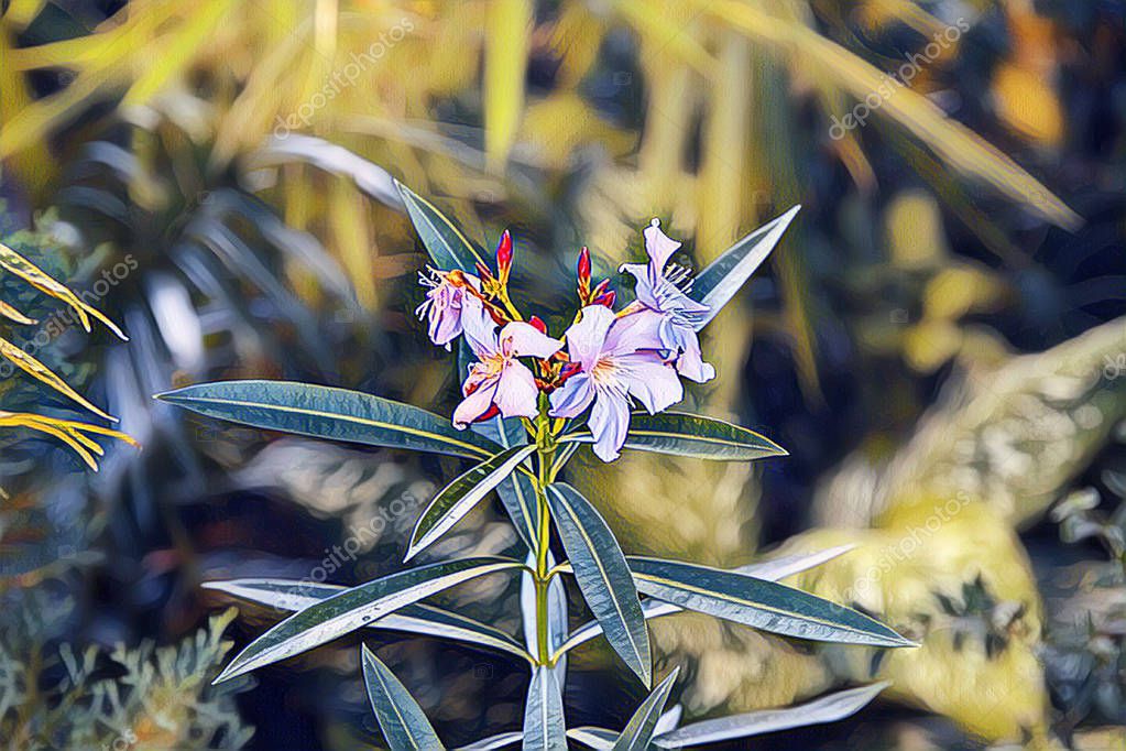 Vista superior de la hoja tropical. Hoja de flor rosa en jardín exótico ...