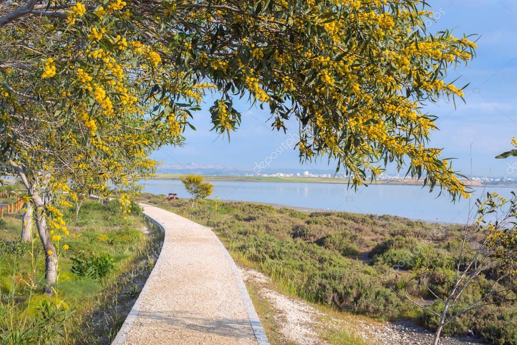 Trail running along Larnaca salt lake — Stock Photo © tuutikka #132080336