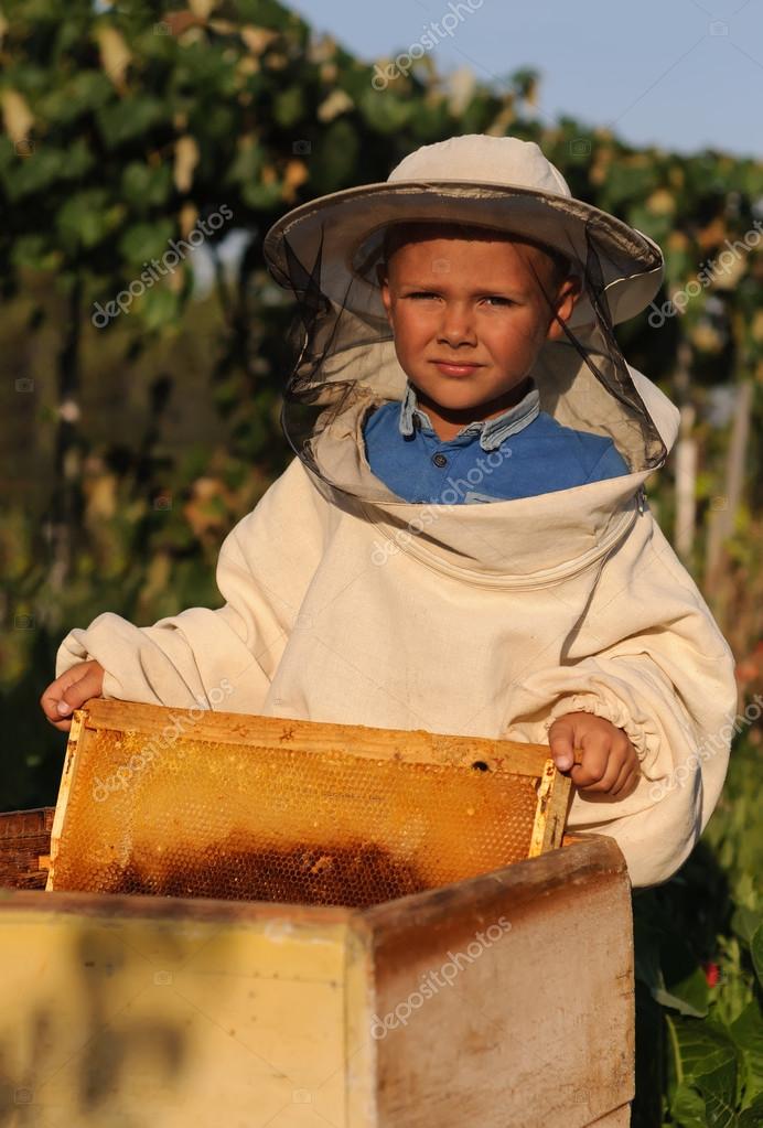 Little boy beekeeper works on an apiary at hive Stock Photo by ©v ...