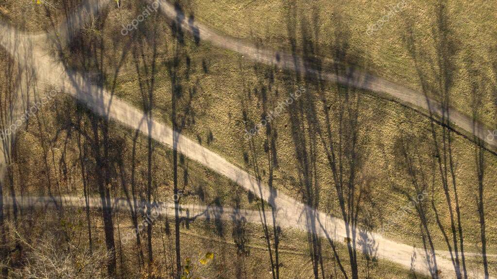 vista superior del bosque y los campos, las sombras de los árboles, la ...