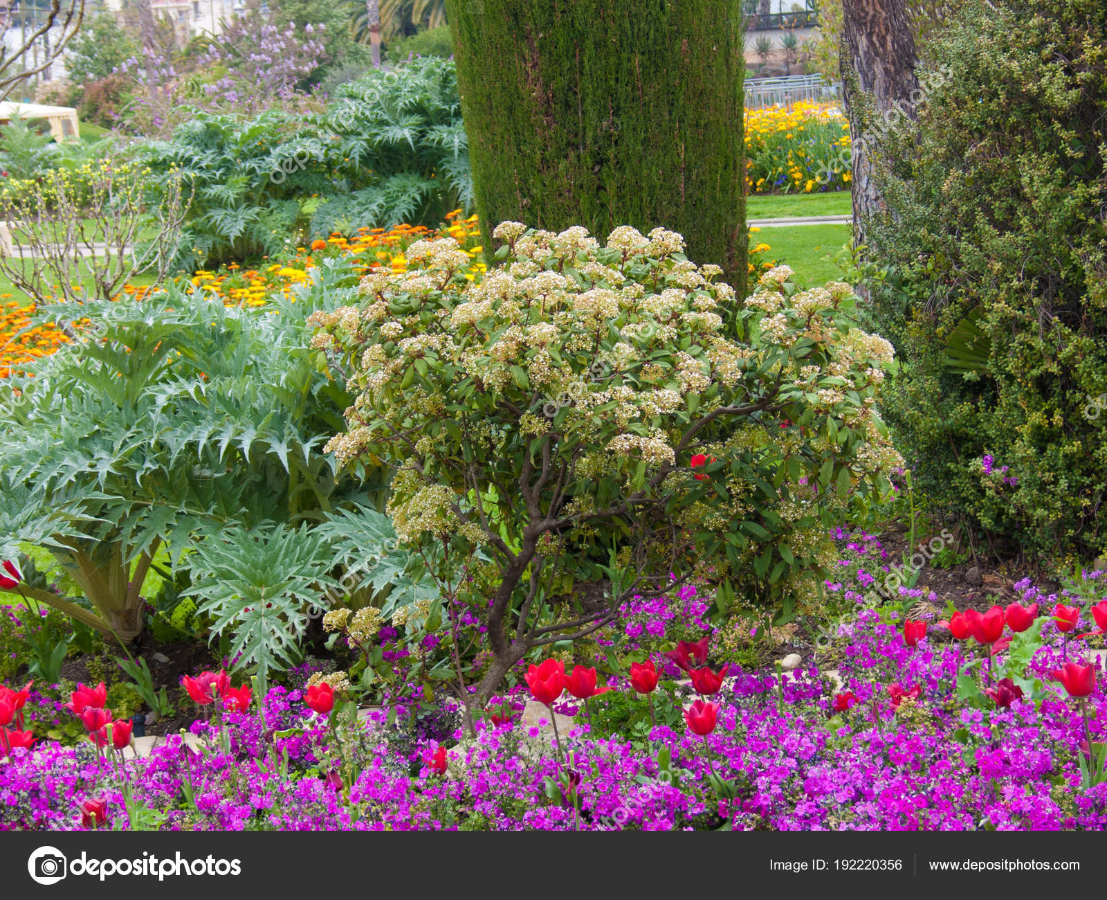 Park Phoenix, Nice. French Riviera, Alpes-Maritimes, France Stock Photo ...