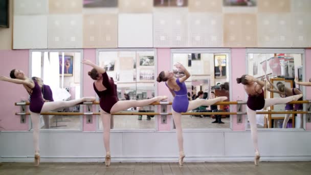 100 Leotards Videos, Royalty-free Stock Leotards Footage | Depositphotos