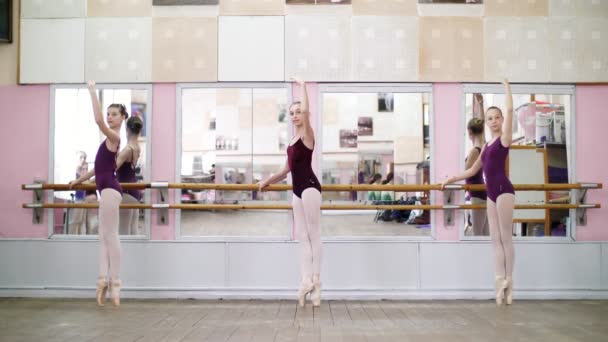 In dancing hall, Young ballerina in purple leotards performs part de ...