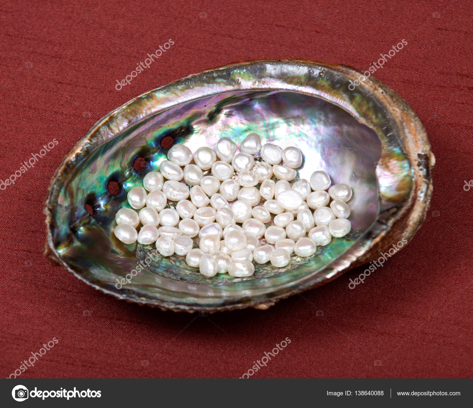 Freshwater Pearls In Shell