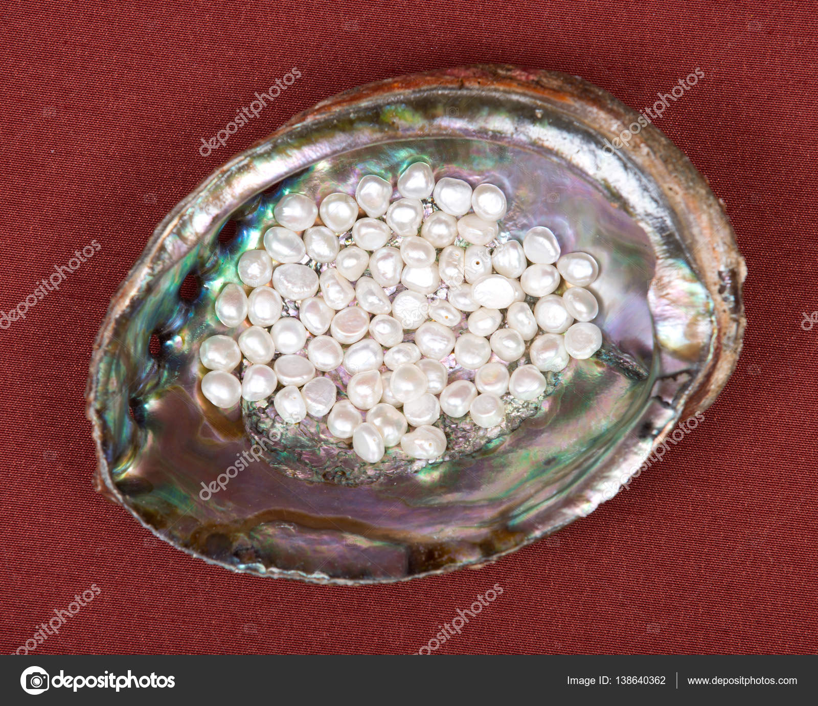 Freshwater Pearls In Shell
