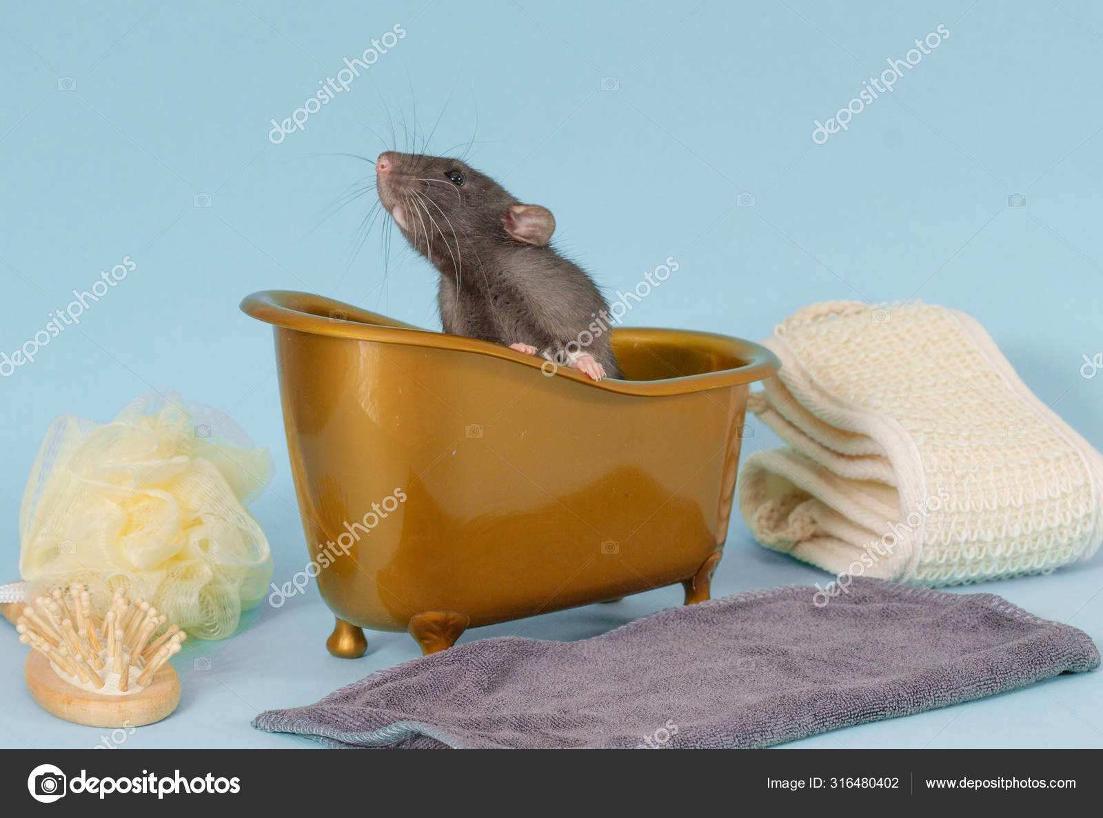 Black Fluffy Rat Symbol 2020 Animal Sits Brown Toy Bath — Stock Photo ...