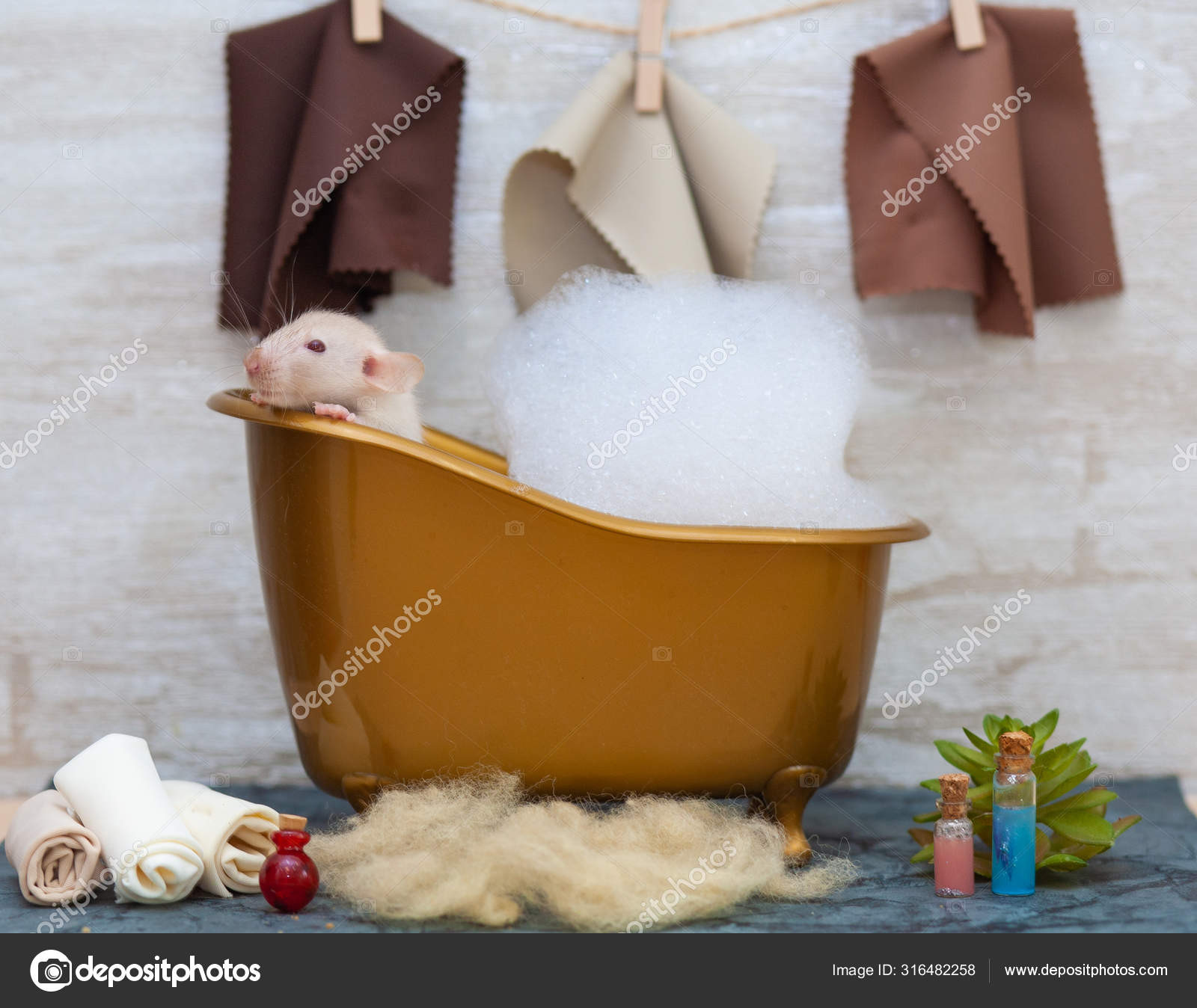 White Fluffy Rat Symbol 2020 Animal Sits Brown Toy Bath — Stock Photo ...