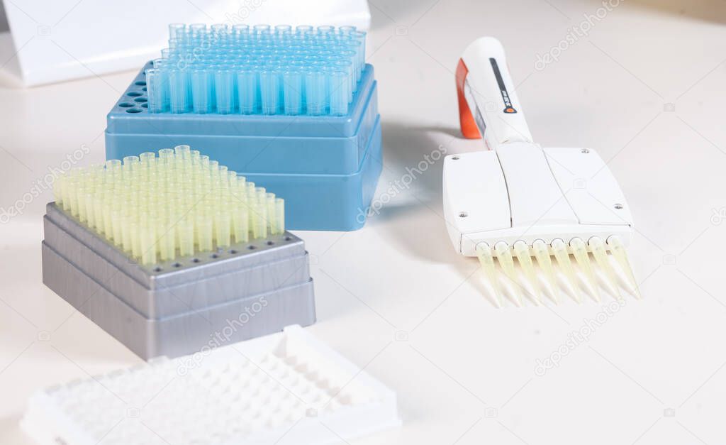 Pipeta multicanal automática para un gran número de pruebas de pcr ...