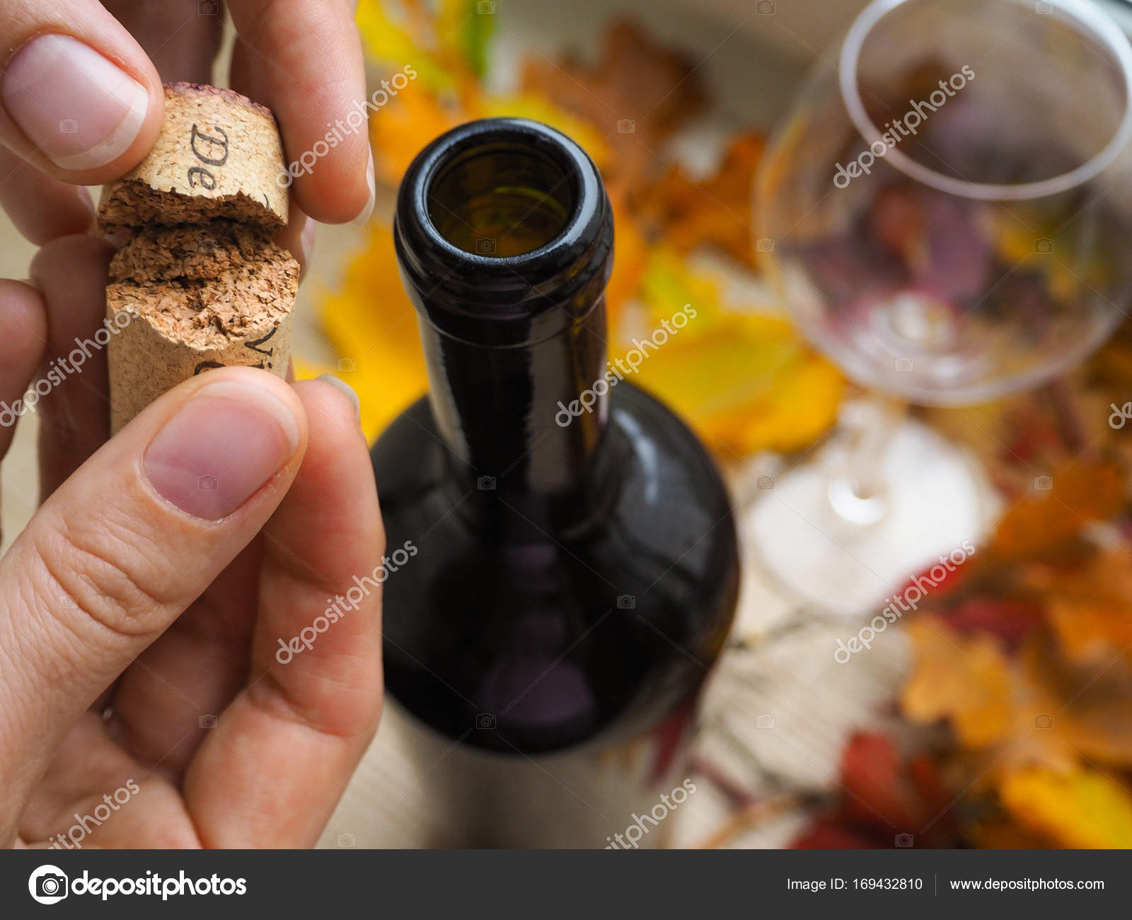 Broken Wine Bottle