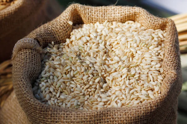 Husked rice Stock Photos, Royalty Free Husked rice Images | Depositphotos®