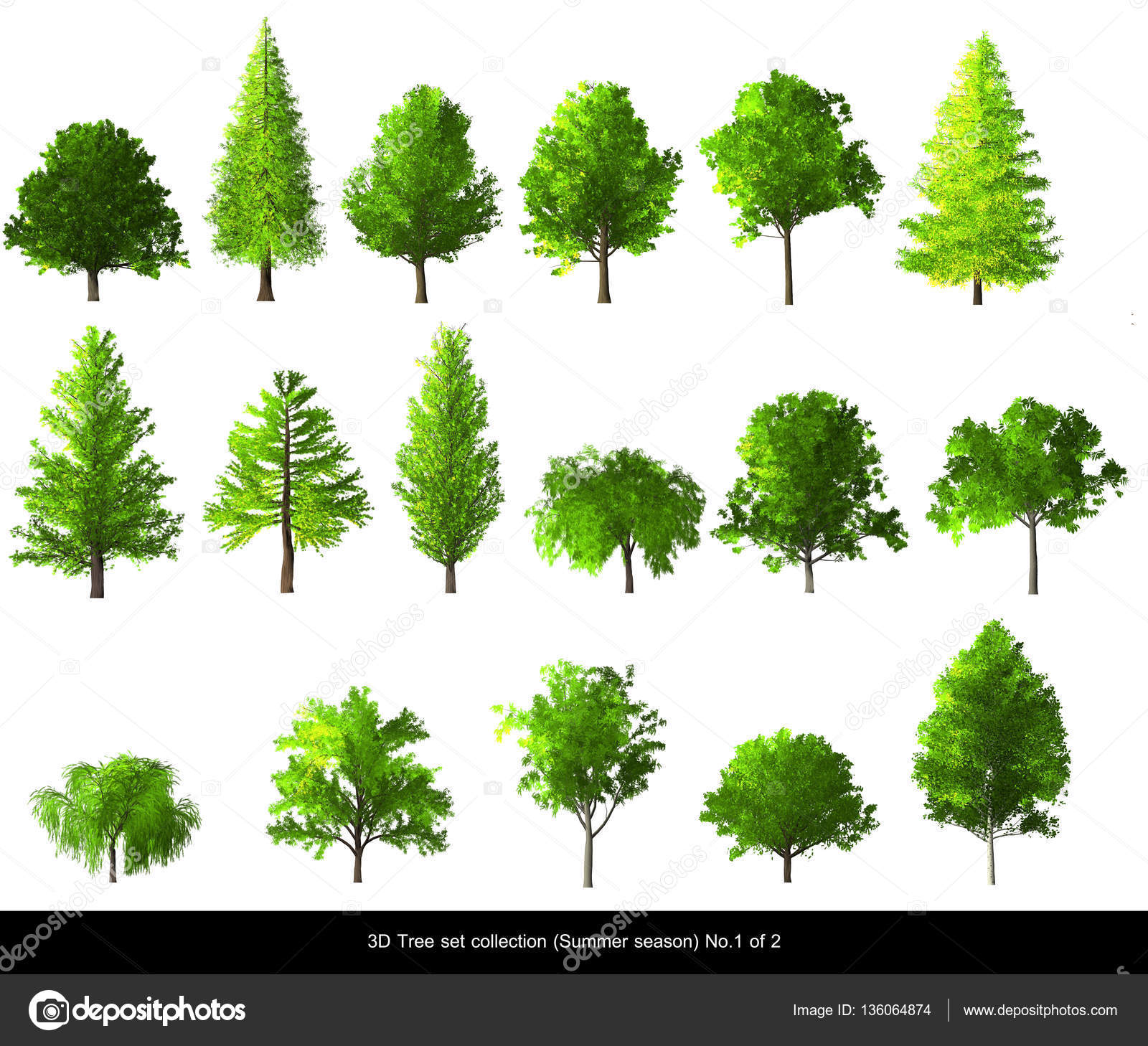 Green Tree summer 3D Tree isolated on white. — Stock Photo © coffeekai ...