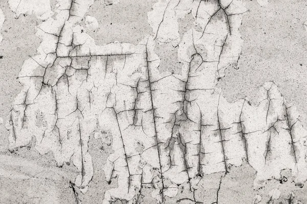 Claw marks Stock Photos, Royalty Free Claw marks Images | Depositphotos®