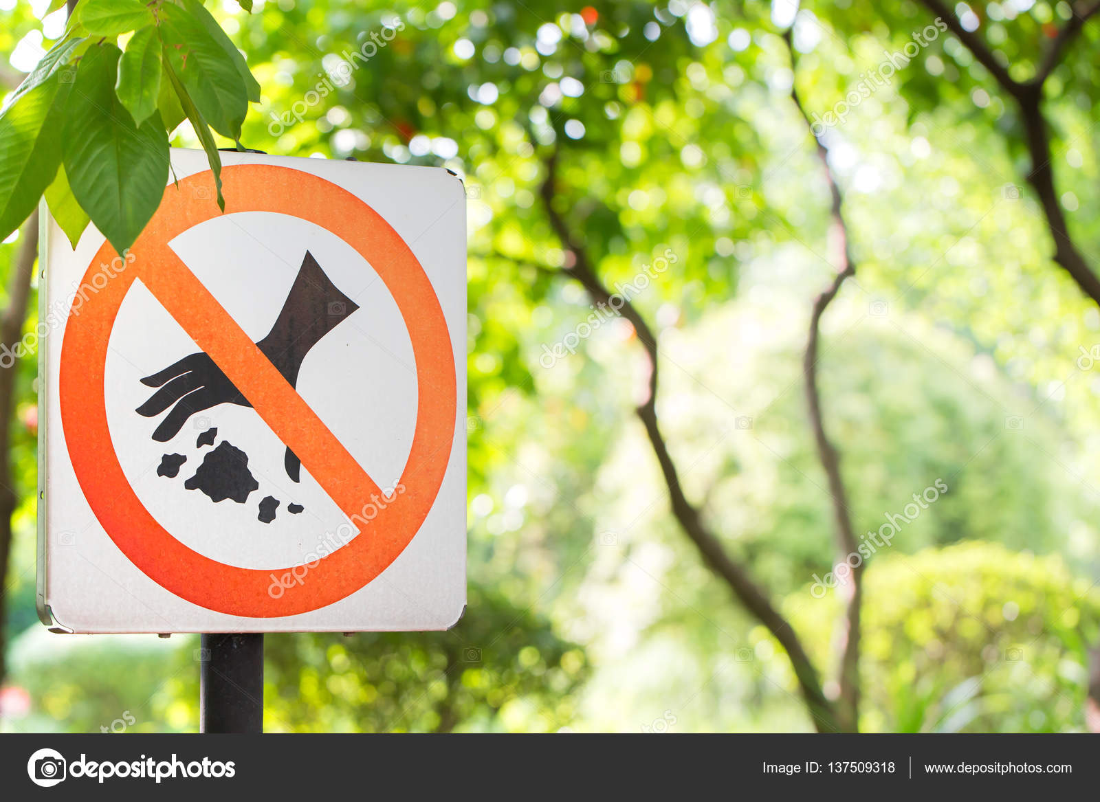 No Littering Street Sign