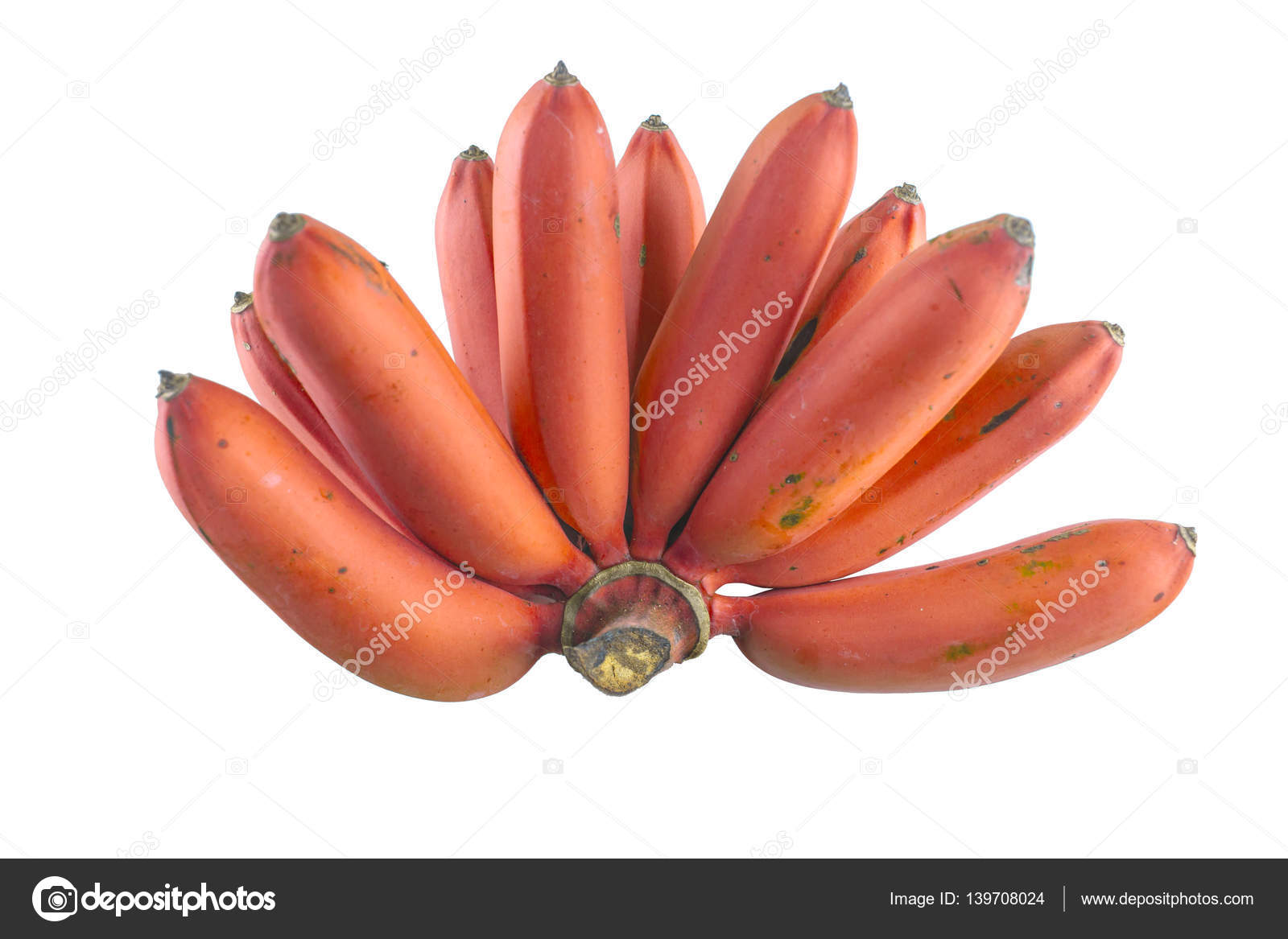 Red banana, red dacca, Claret banana, Cavendish banana "Cuban Red ...
