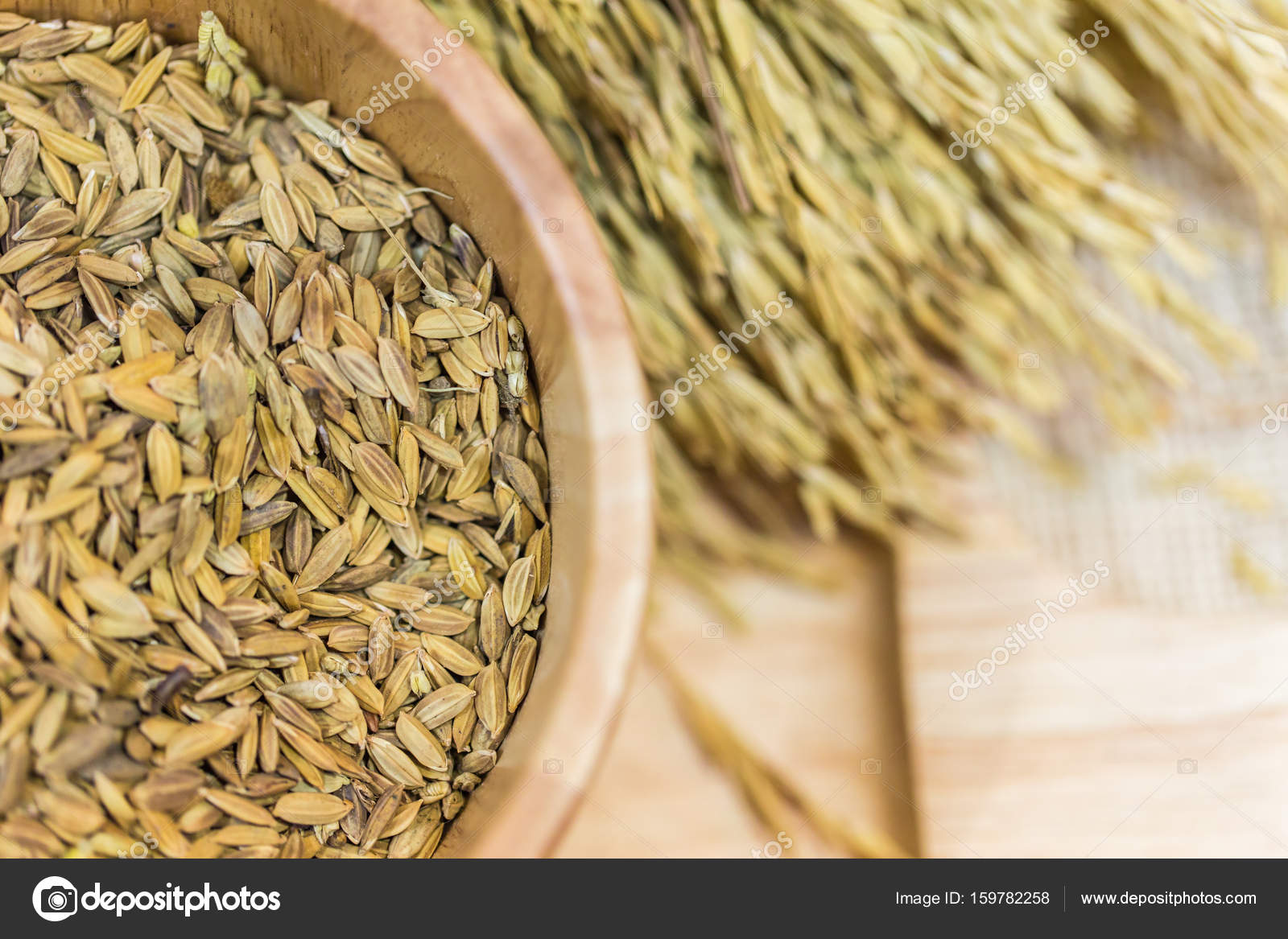 Rice seed, paddy raw rice seed on wood table background. — Stock Photo ...