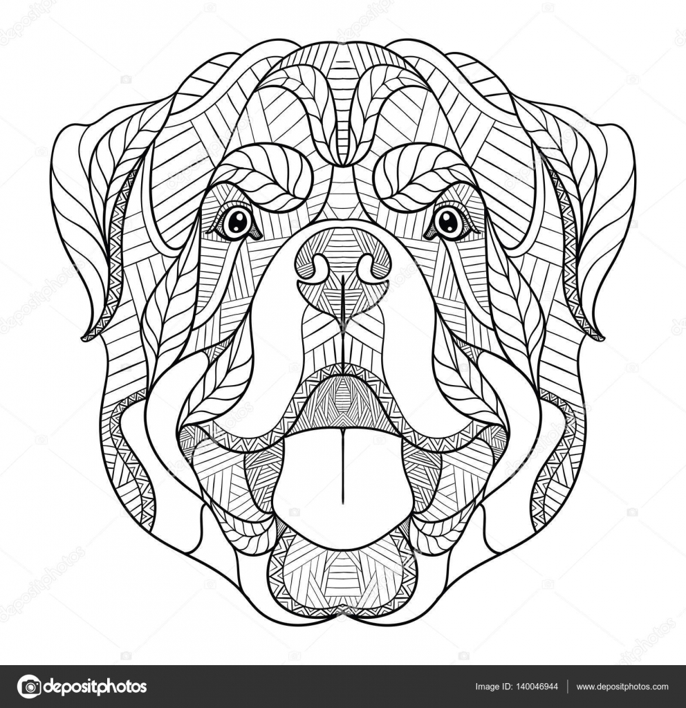 Rottweiler dog zentangle, doodle stylized head, hand drawn, pattern ...