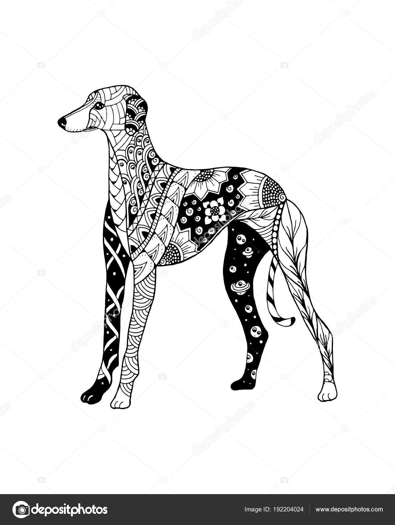 Zentangolo cane levriero stilizzato. Illustrazione vettoriale a mano ...