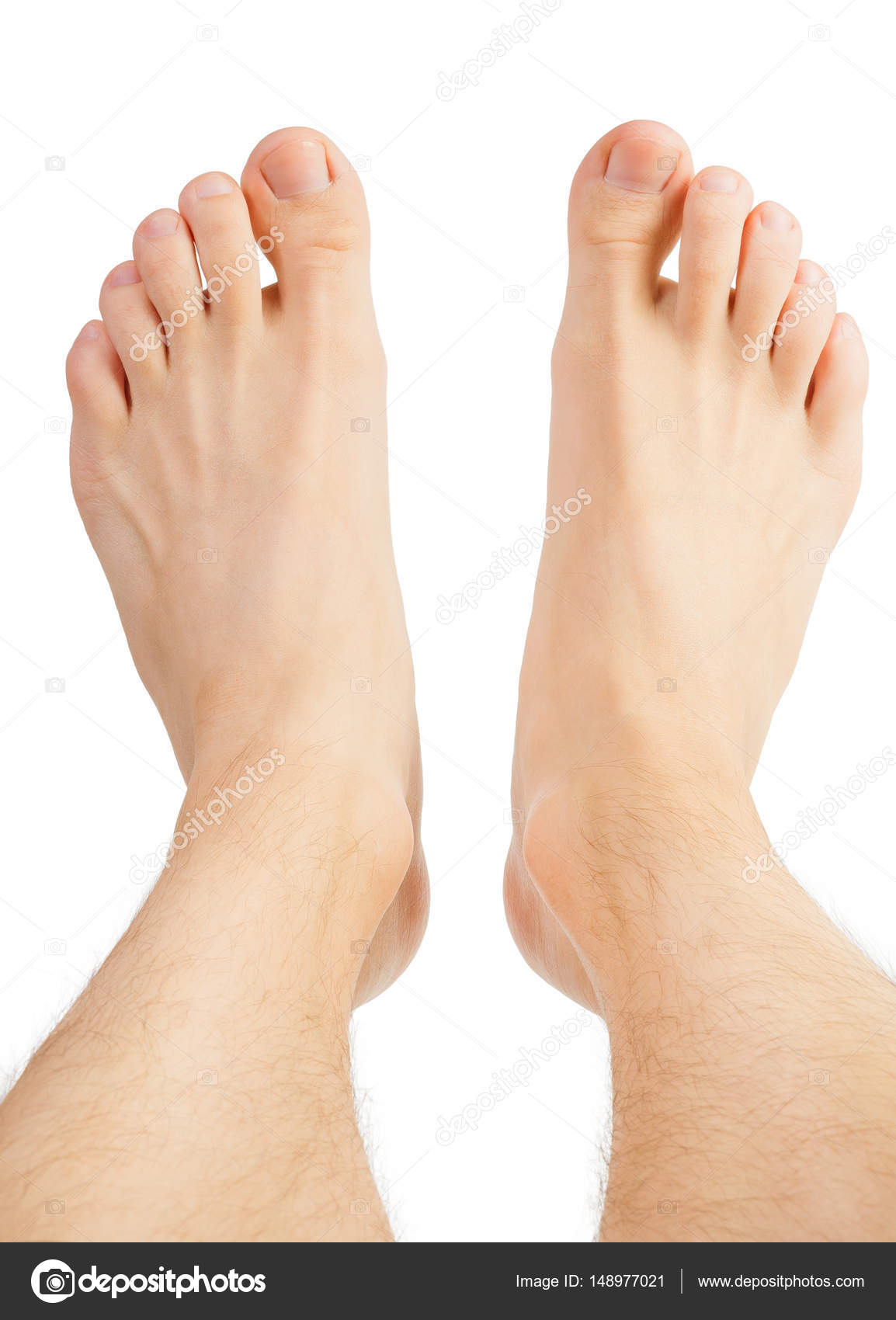 Closeup manicured legs men hairy legs top view Stock Photo by ...