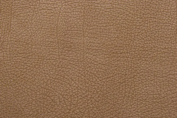 Pigskin Stock Photos, Royalty Free Pigskin Images | Depositphotos