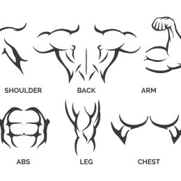 288 Six pack abs Vector Images | Depositphotos