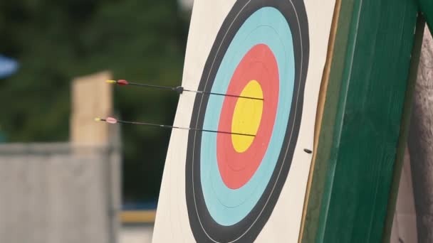 Arrow Hits the Target — Stock Video © uflypro #170467856