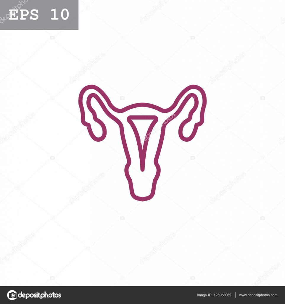 Female reproductive organs icon Stock Vector Image by ©Mr.Webicon ...