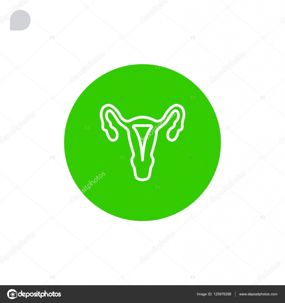 Female reproductive organs icon Stock Vector Image by ©Mr.Webicon ...
