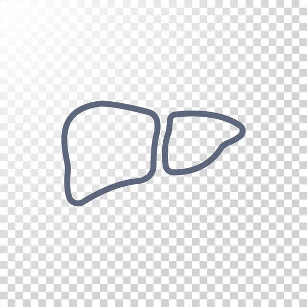 Human liver icon - Stock Image - Everypixel