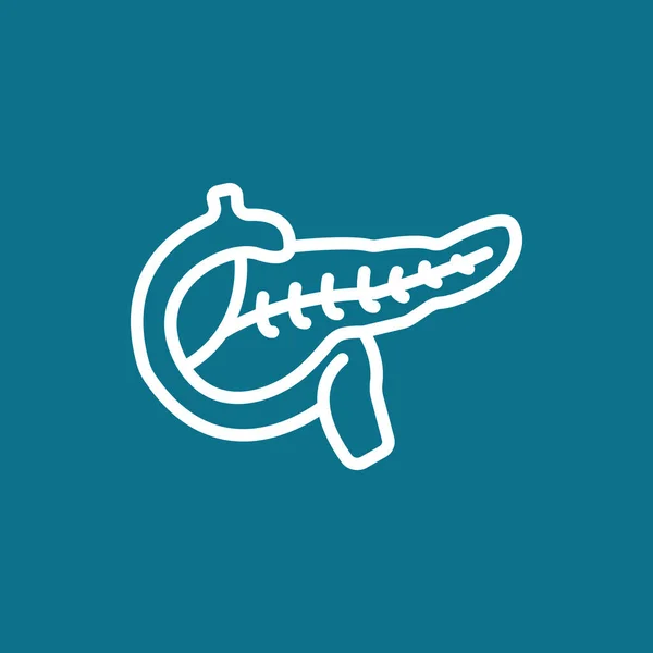 Human Pancreas Images - Search Images on Everypixel